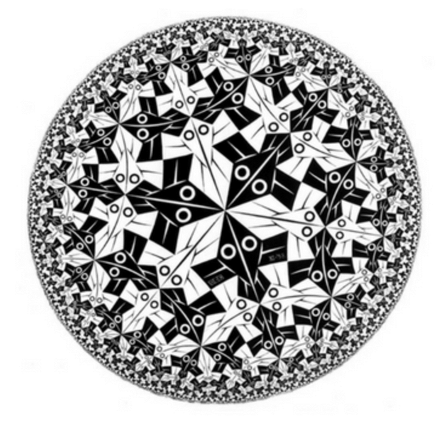 Transformaciones isométricas: tema de estudio PAES M1